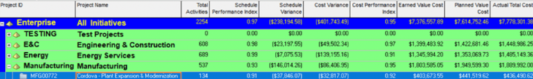 Costs and earned value in Primavera P6 - Planning Data Analysis